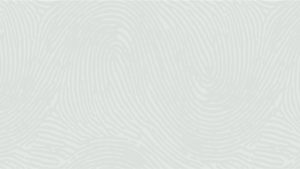 Emergence Underwriting Agency specialists in cyber insurance